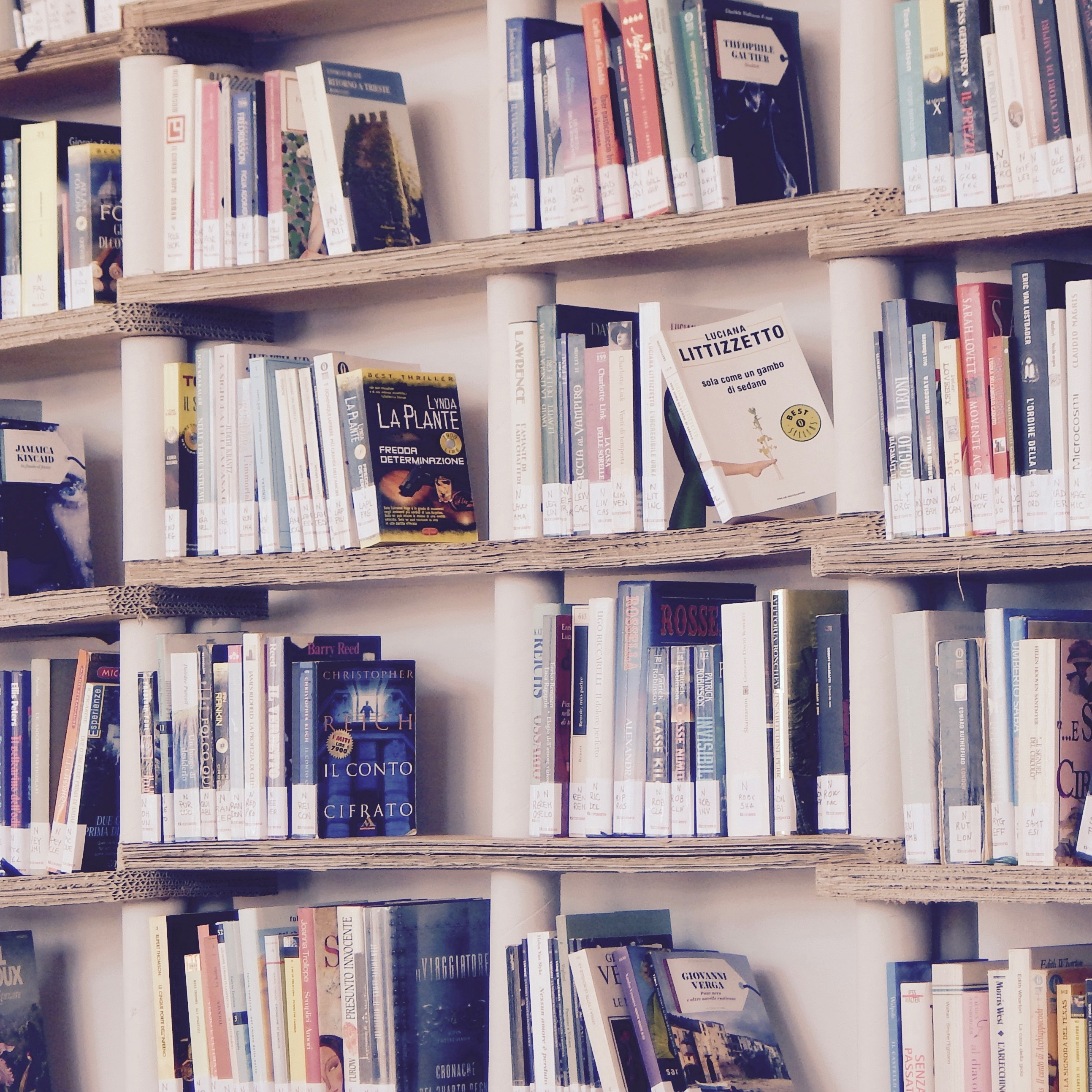Books For Language Lovers – The Teacher James